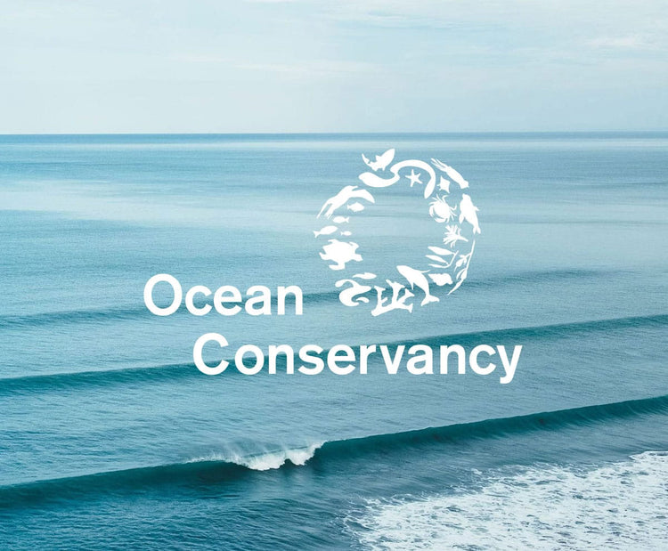 Our Partnership with Ocean Conservancy – rockflowerpaper